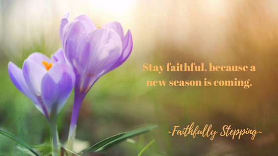 Stay Faithful Because a New Season Is Coming - Faithfully Stepping